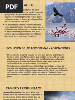 Infografia Imanes | PDF | Imán | Magnetismo