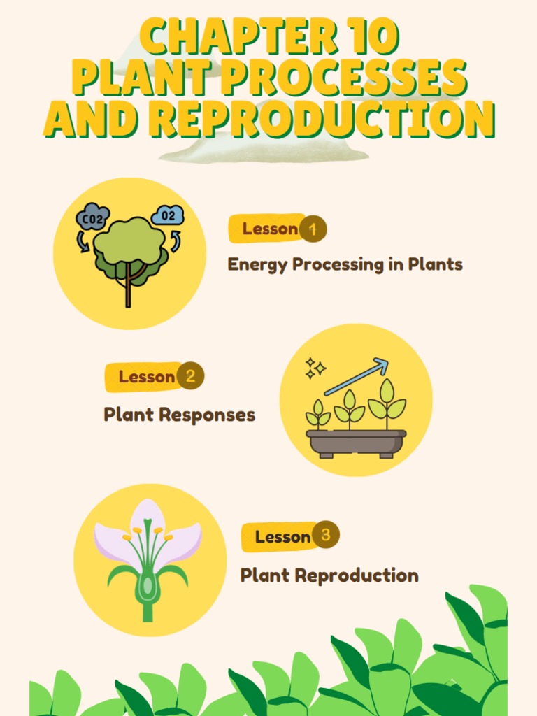 Plant Energy and Reproduction Processes | PDF