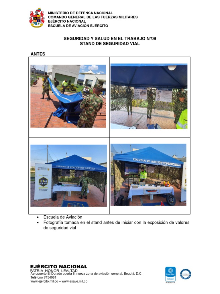 Informe Stand Seguridad Vial | PDF