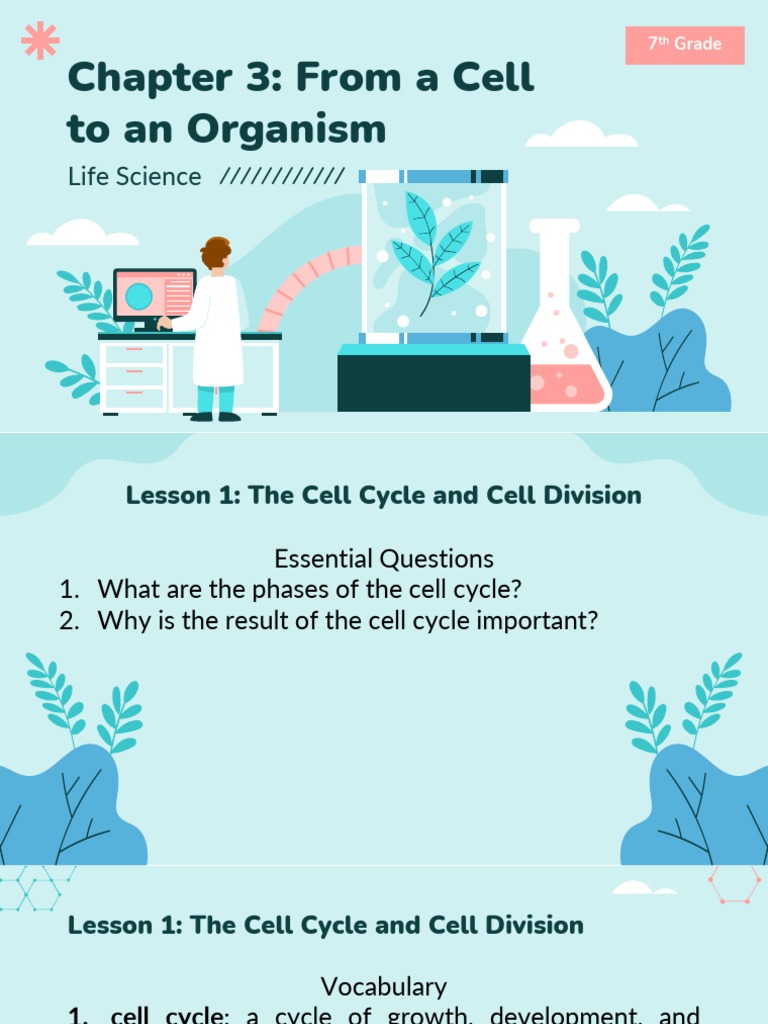 7th Grade Cell Cycle & Division | PDF | Cell (Biology) | Tissue (Biology)