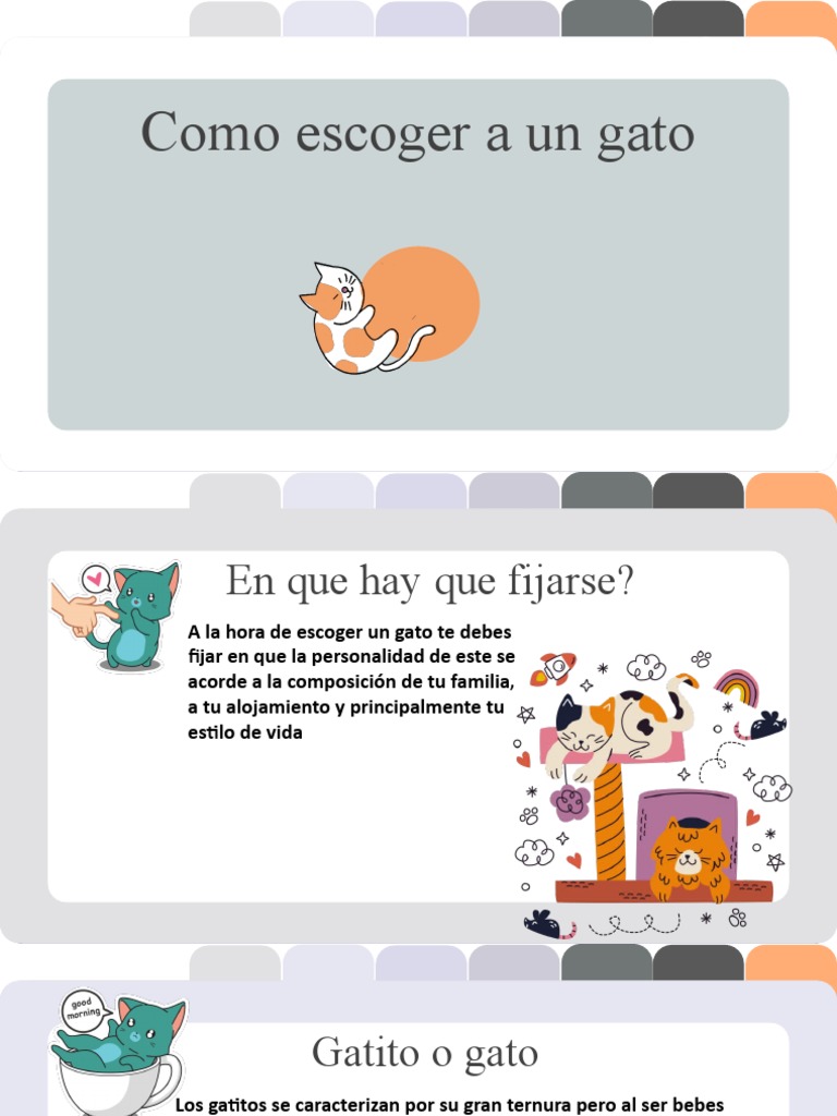 Como Escoger A Un Gato: Itiva 7 | PDF