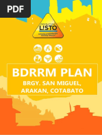 BDRRM Plan 2023-2025 Final | PDF | Hazards