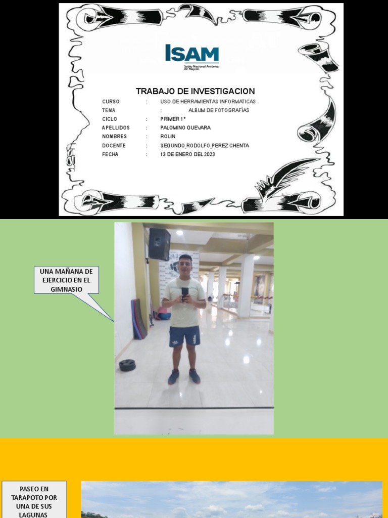 Album Rolin Palomino | PDF