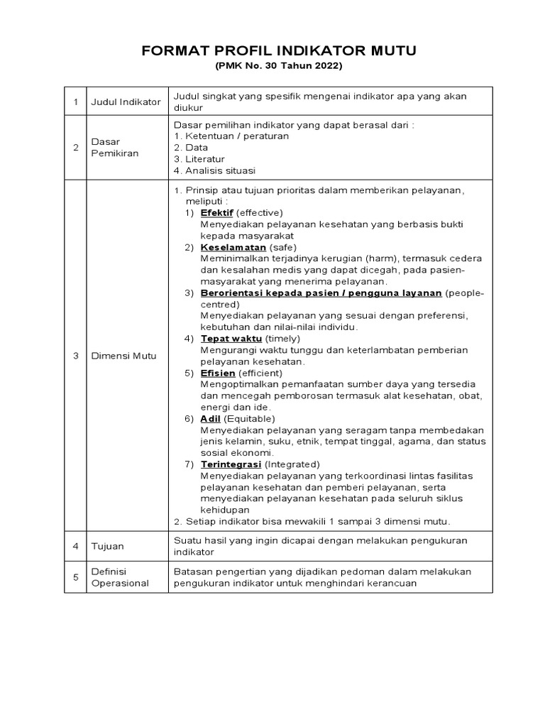 FORMAT PROFIL INDIKATOR MUTU Sesuai PMK No.30 Tahun 2022 | PDF