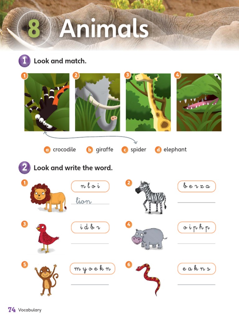Animals: Look and Match | PDF | Elephant