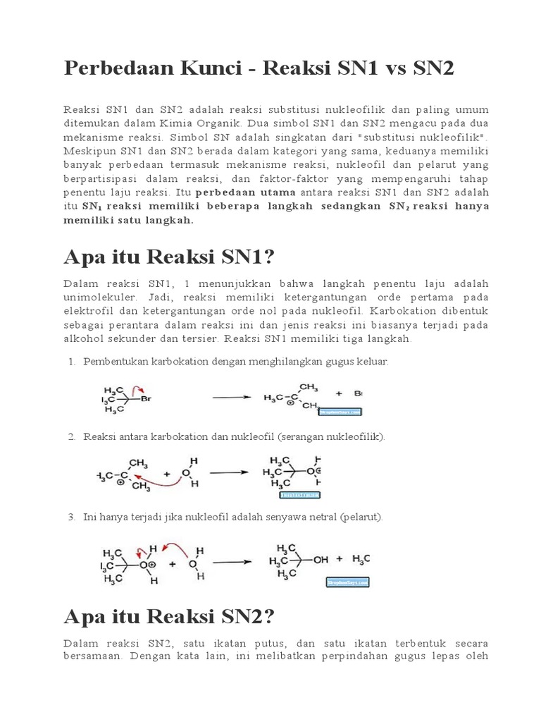 Perbedaan Kunci SN1 DAN SN 2 | PDF