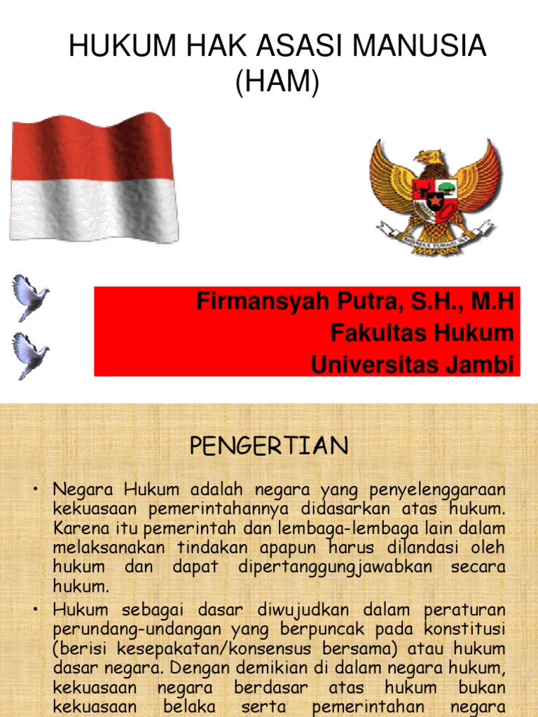 Hukum HAM | PDF