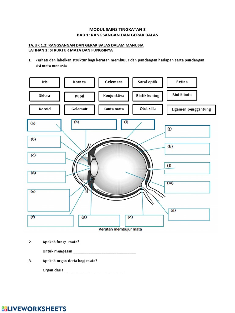 Mata Worksheet | PDF