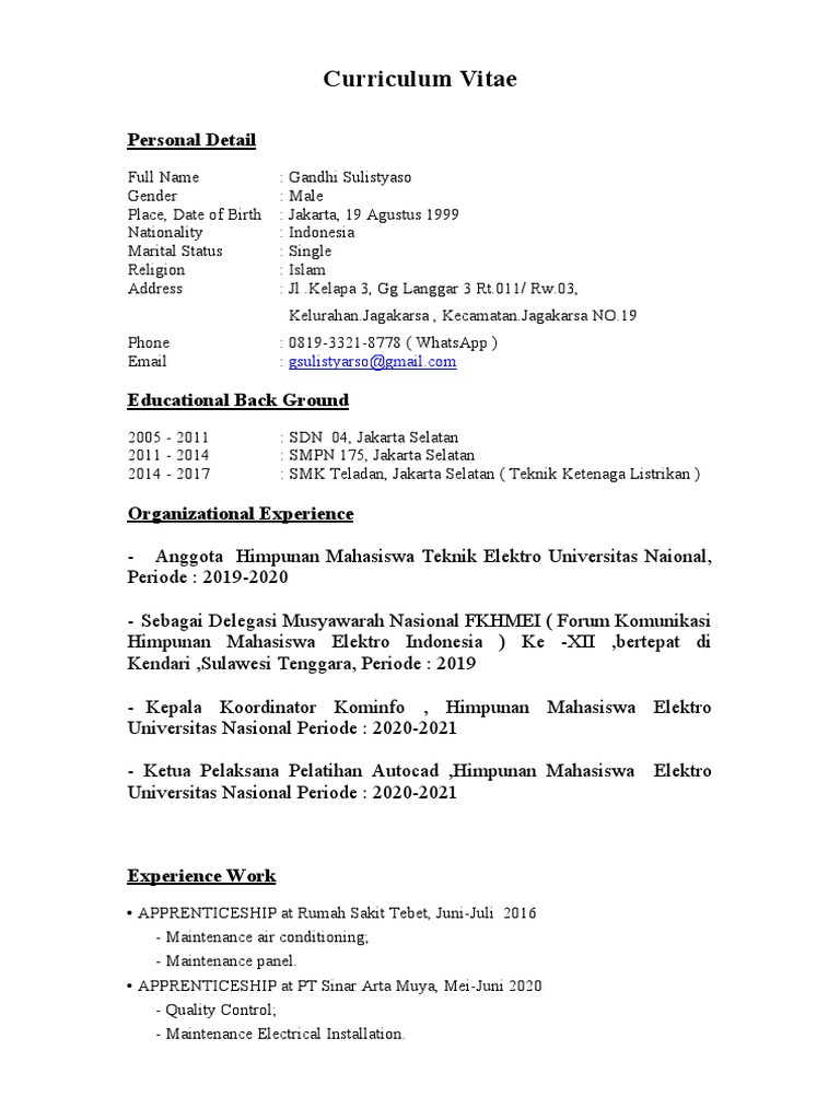 CV Muhammad Rayhan Hanafiah ++ | PDF