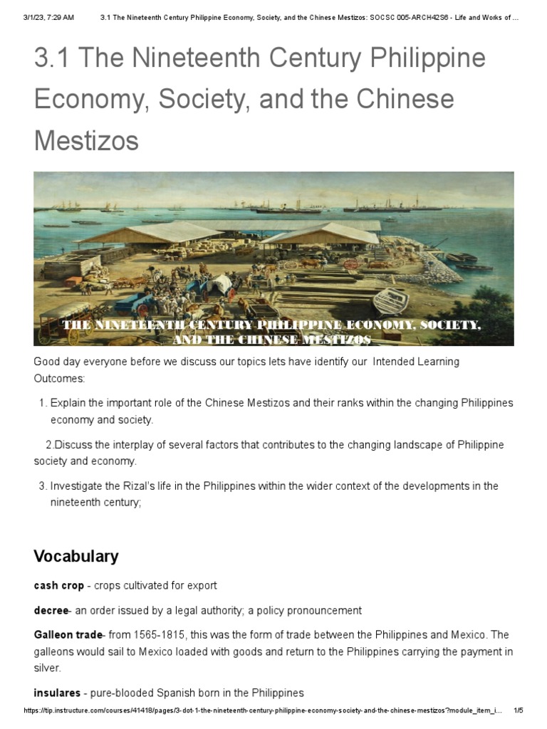 3.1 The Nineteenth Century Philippine Economy, Society, and The Chinese Mestizos - SOCSC 005 ...