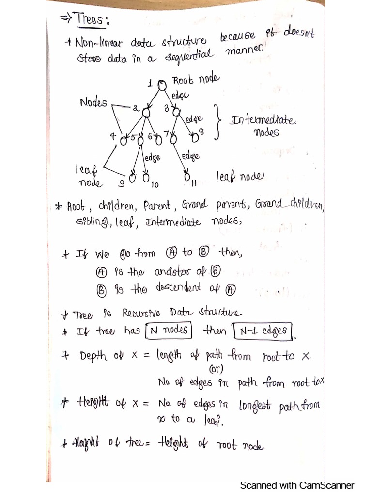 Trees And Graphs Pdf