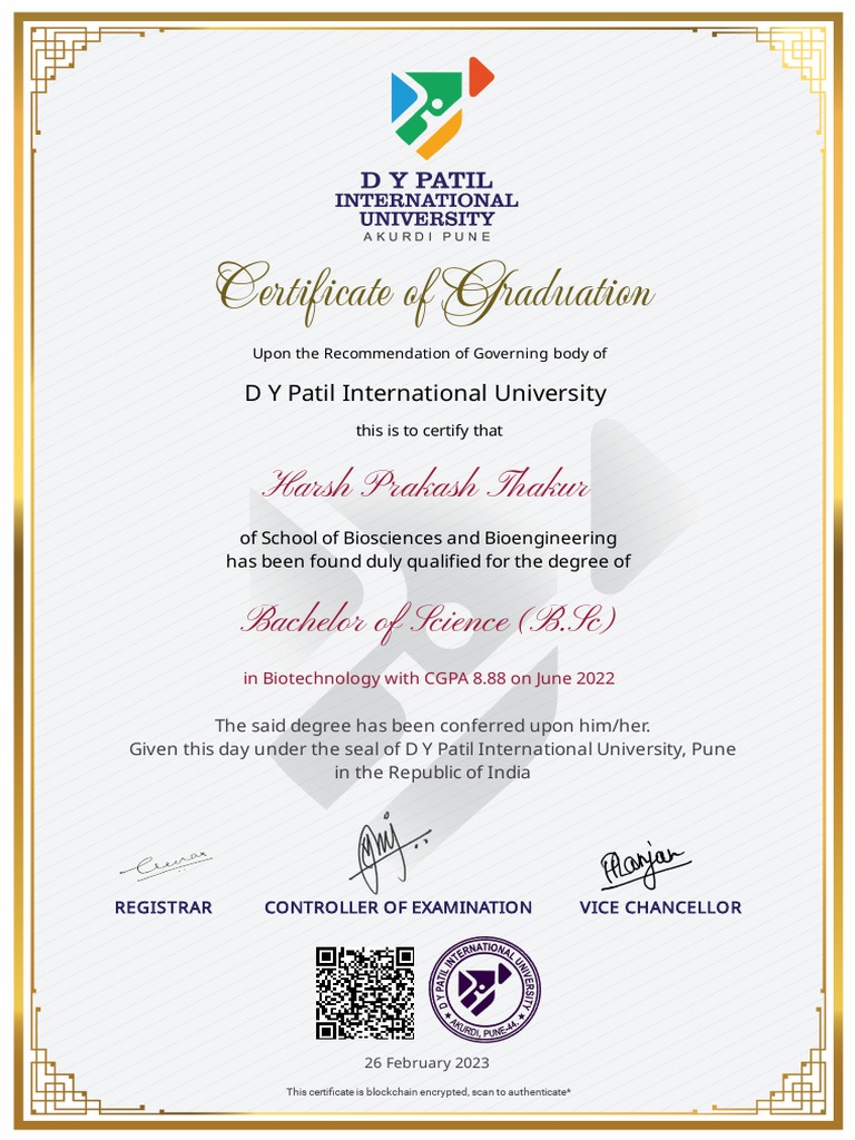 Dypatil Degree | PDF