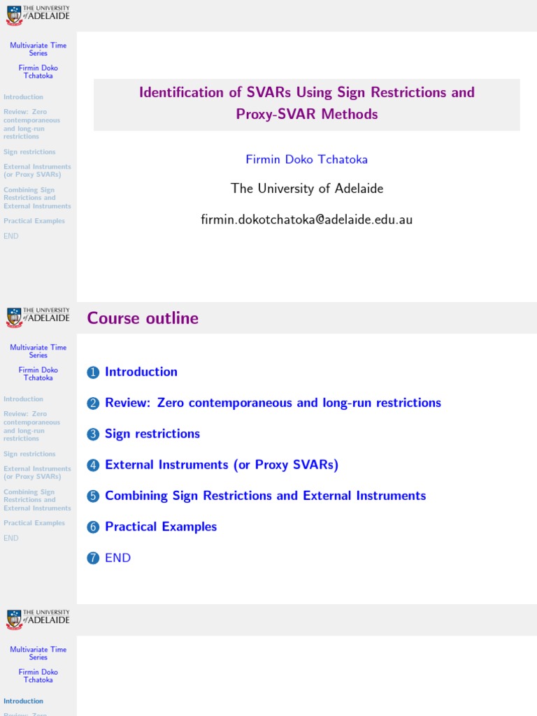 Lecture Var Signrestriction | PDF | Vector Autoregression | Matrix ...
