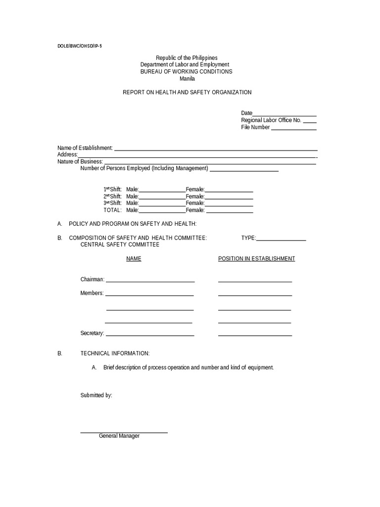 DOLE Form IP-5 Report of Safety Org | PDF