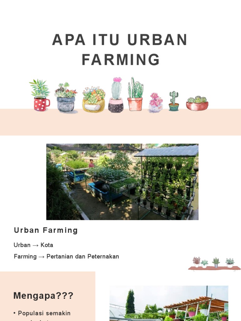 Apa Itu Urban Farming | PDF