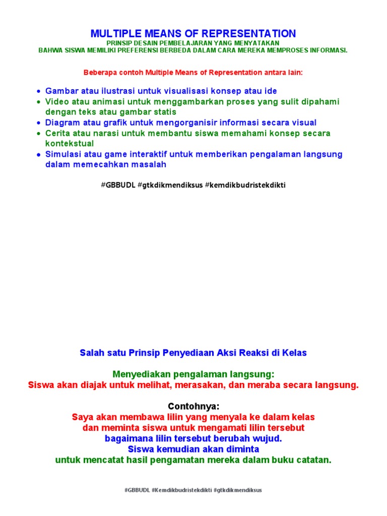 multiple-means-of-representation-pdf