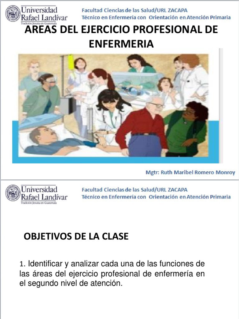 Áreas Del Ejercicio Profesional | PDF