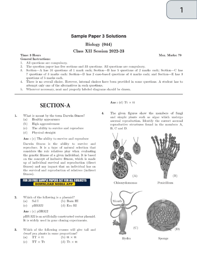 Biology Solution 3 | PDF