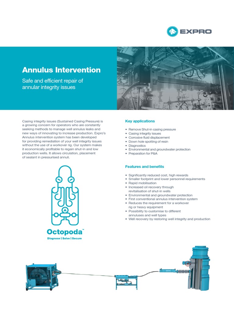 Well Intervention - Annulus Intervention A4 | PDF | Physical Sciences | Materials