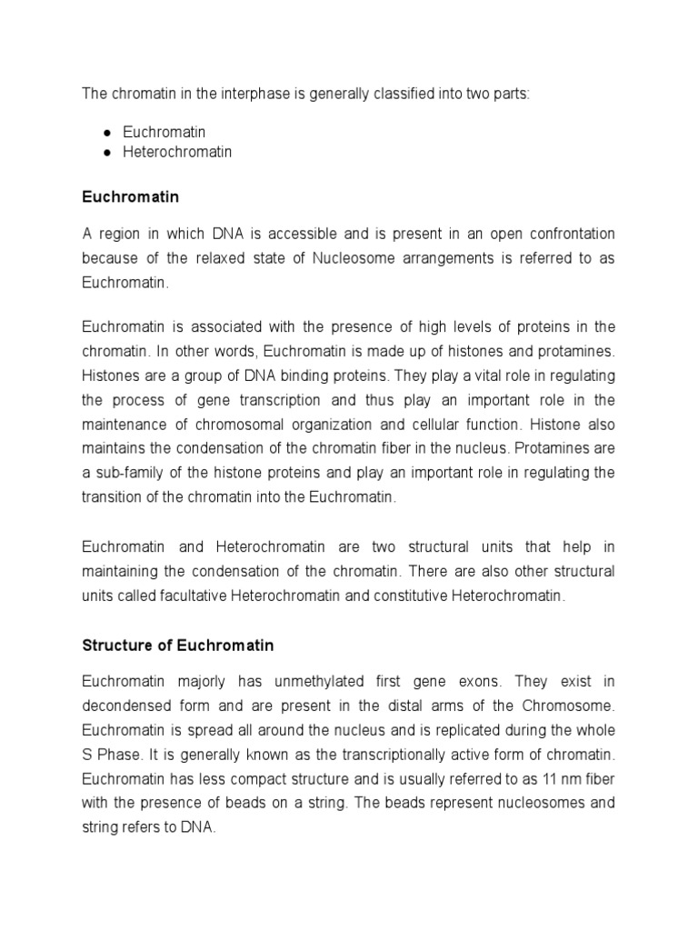 Euchromatin and Heterochromattin | PDF | Chromatin | Histone