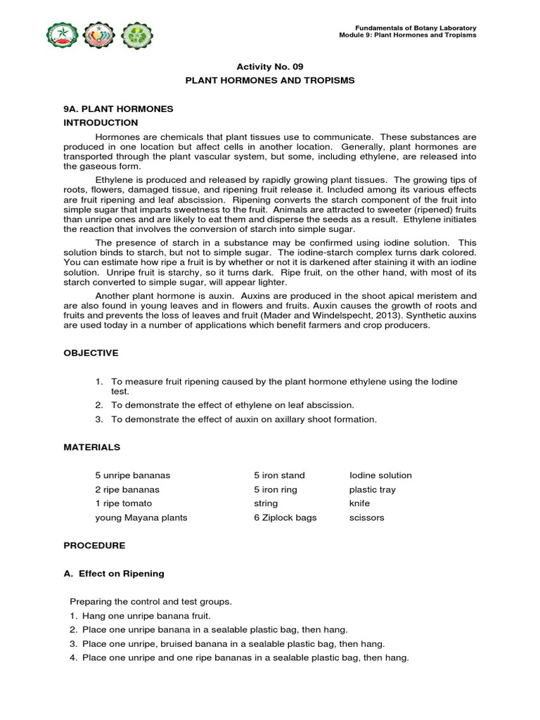 Activity No. 09 Plant Hormones and Tropisms | PDF