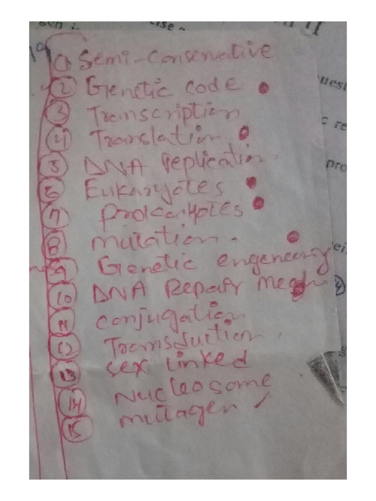 Genetics Imp Long Questions | PDF