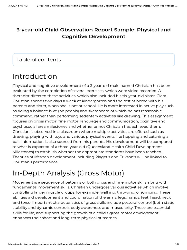 3-Year-Old Child Observation Report Sample - Physical and Cognitive ...