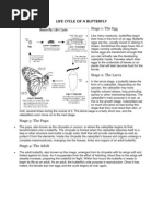 5 E Lesson Plan for Second Grade Life Cycles | Pupa | Butterfly