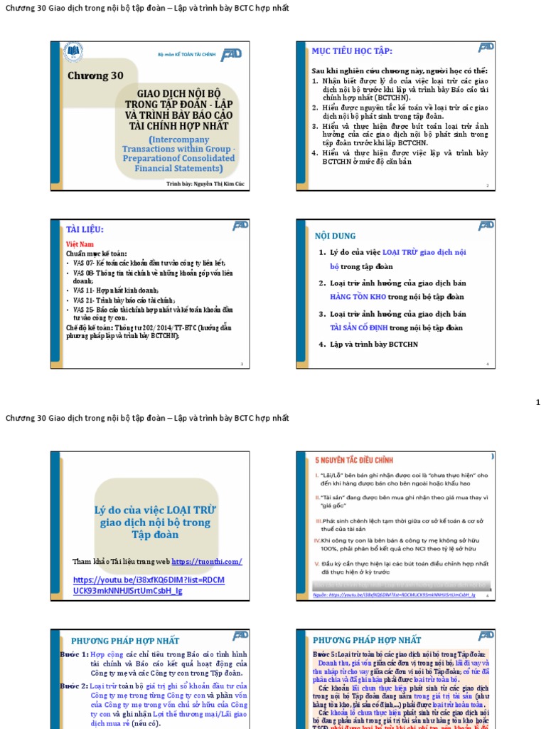 C30 GDNB Trong Tap Doan Lap BCTCHN | PDF