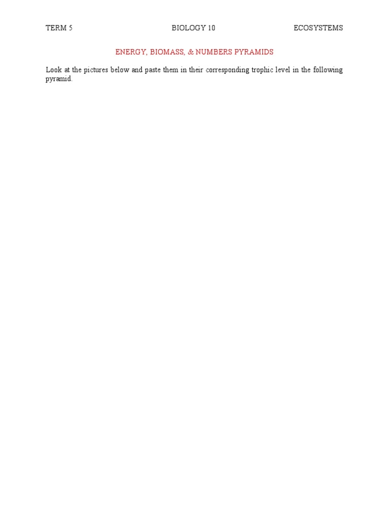 Energy, Biomass, & Numbers Pyramids | PDF