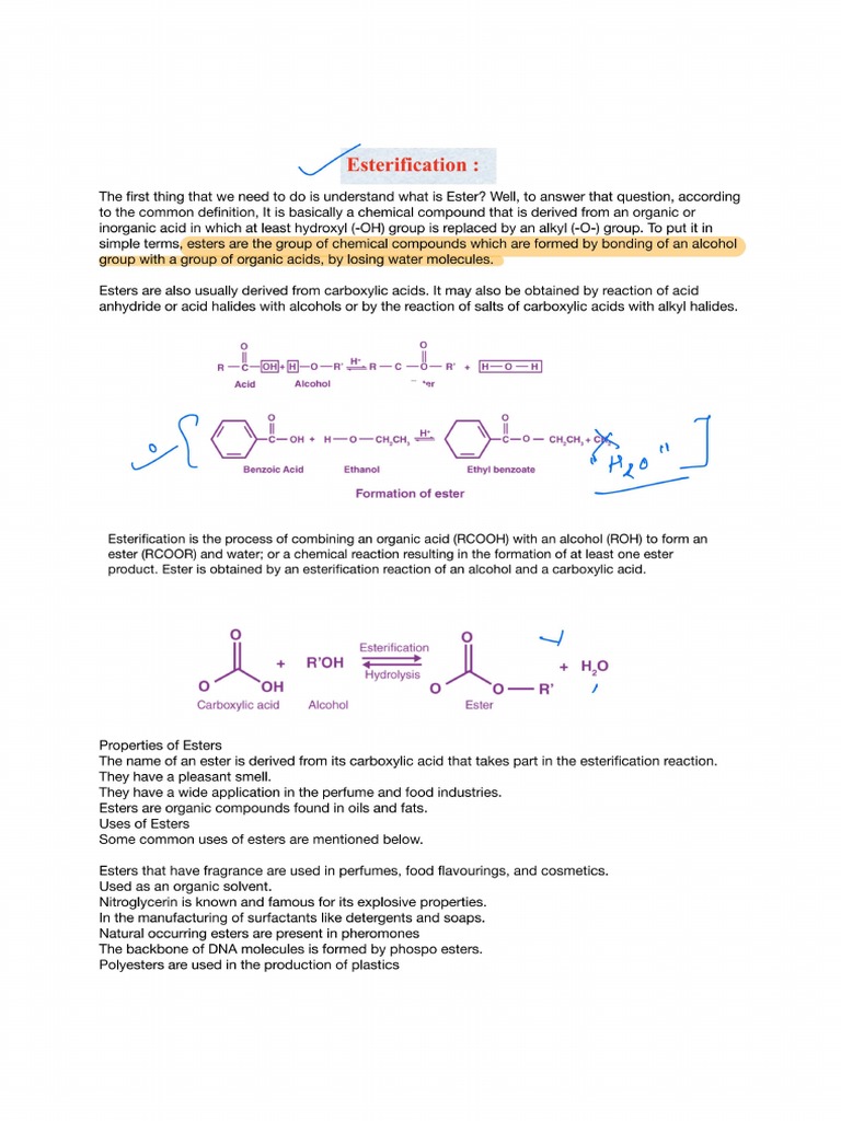 Esterification | PDF