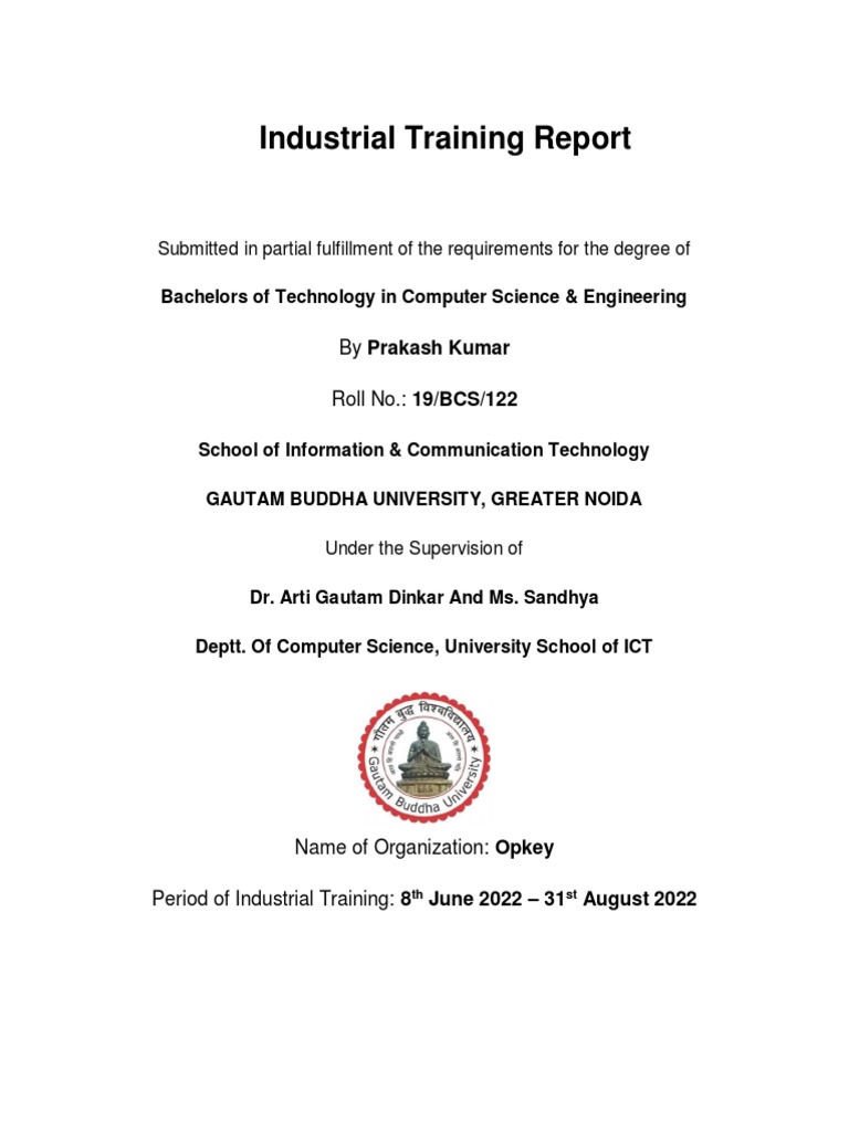 Industrial Training Report-Prakash | PDF | Graphic Design | Adobe ...