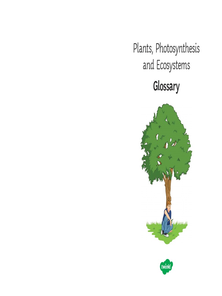 Plants Photosynthesis and Ecosystems Glossary | PDF