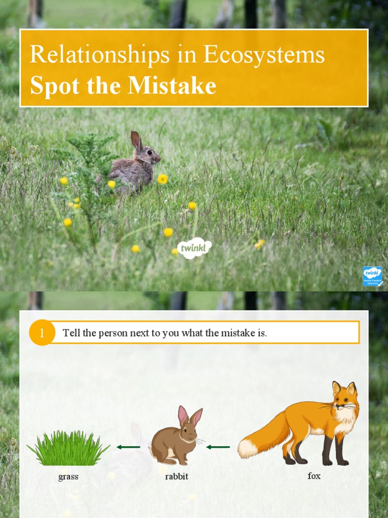 Spot The Mistake PowerPoint | PDF