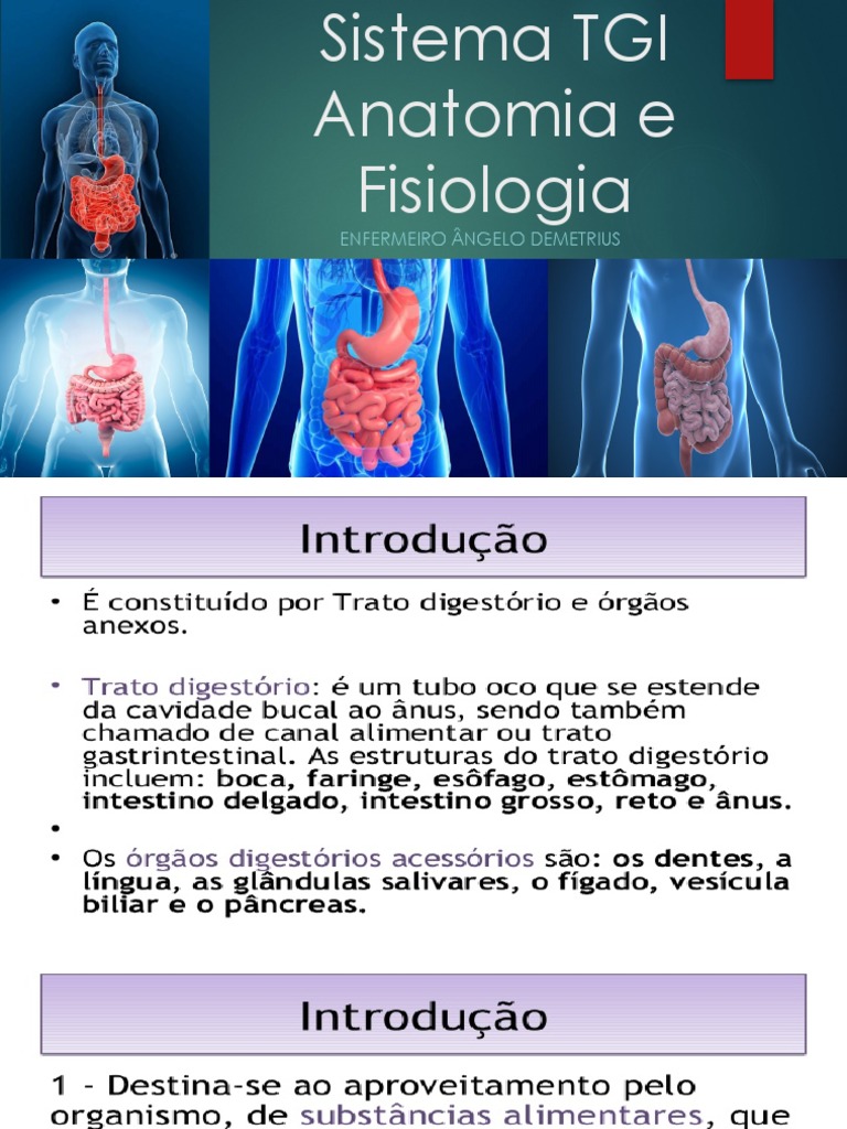 Anatomia e Fisiologia do TGI | PDF