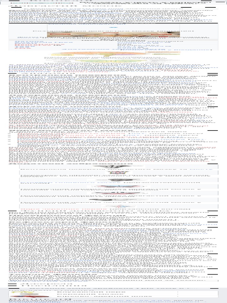 Neuronames Neurolex: Medulla Oblongata - Gif | PDF