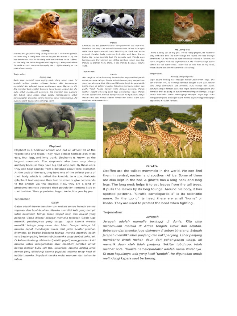 Animal Description Dan Gambarnya | PDF