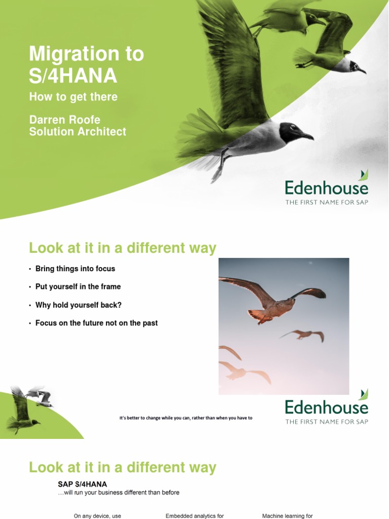 The Reality Of A S4hana Migration Pdf Analytics Information Technology