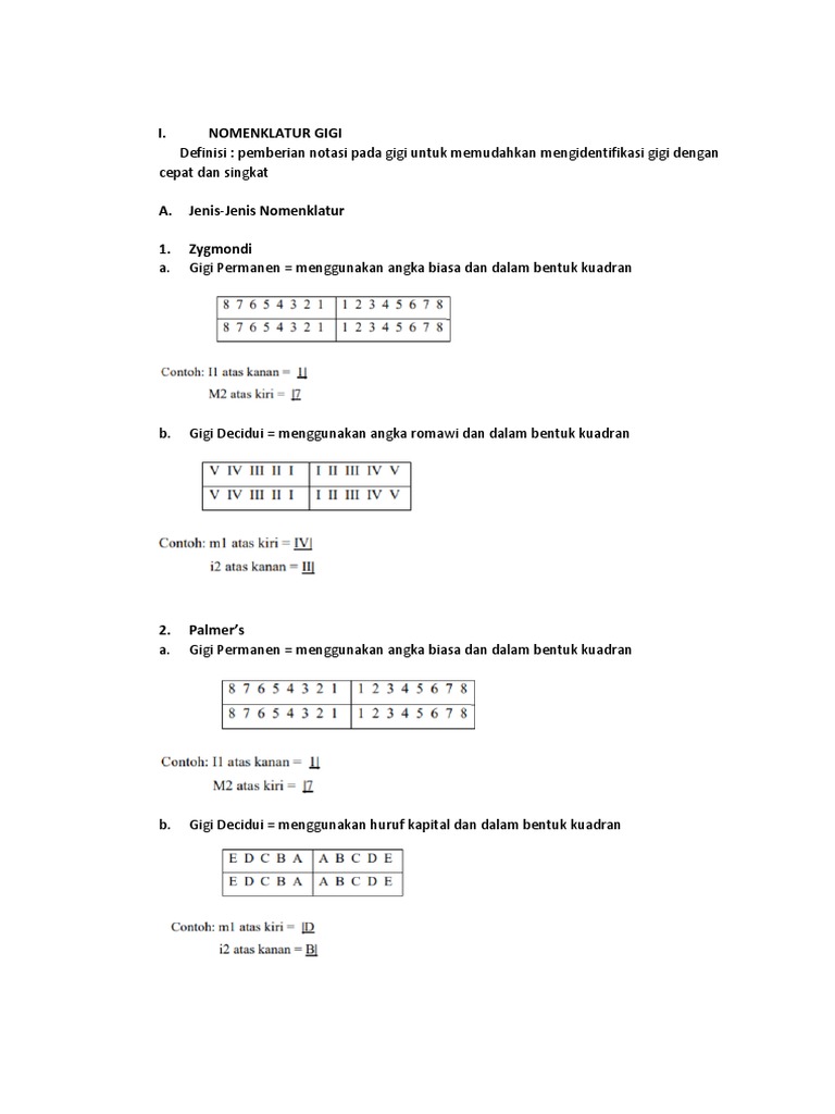 CTTN Nomenklatur Dan Morfologi Gigi | PDF