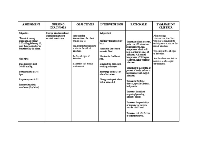 Nursing Care Plan - PROM | Download Free PDF | Physiology | Health Care