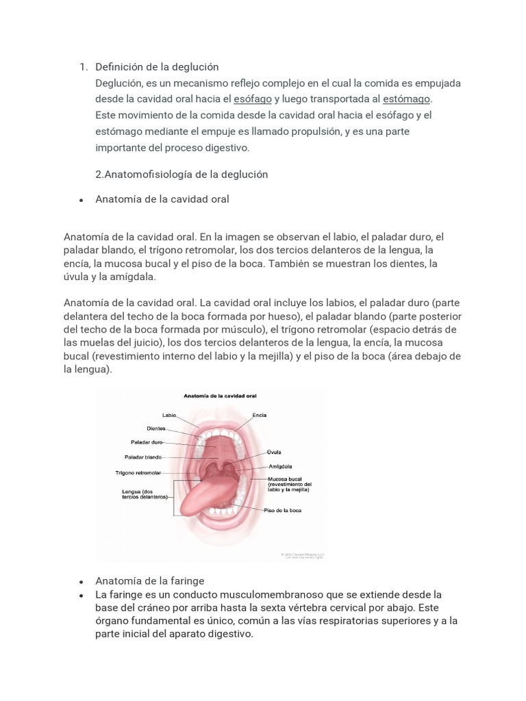 Motrcidad Orofacial | PDF | Laringe | Esófago