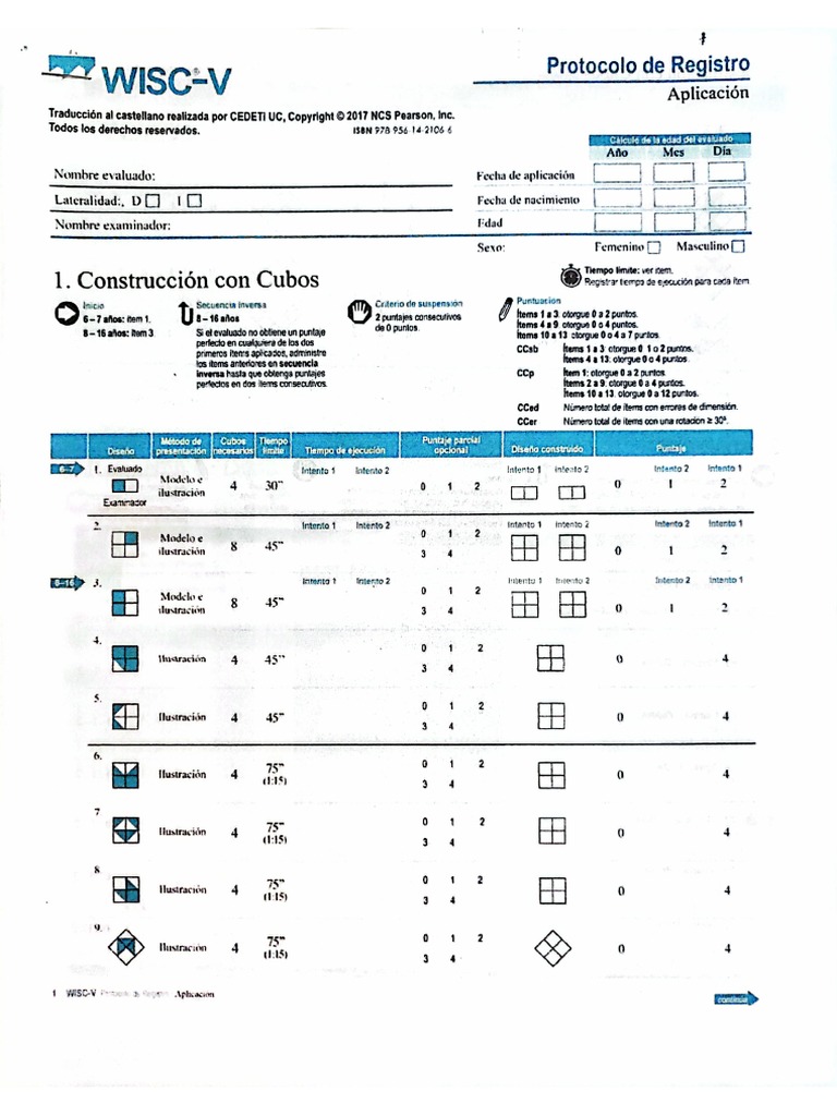 Protocolo de Registro Wisc V | PDF