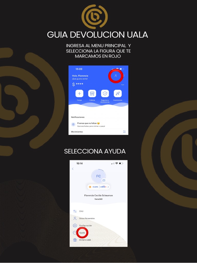 Guia Devolucion Uala-2 | PDF