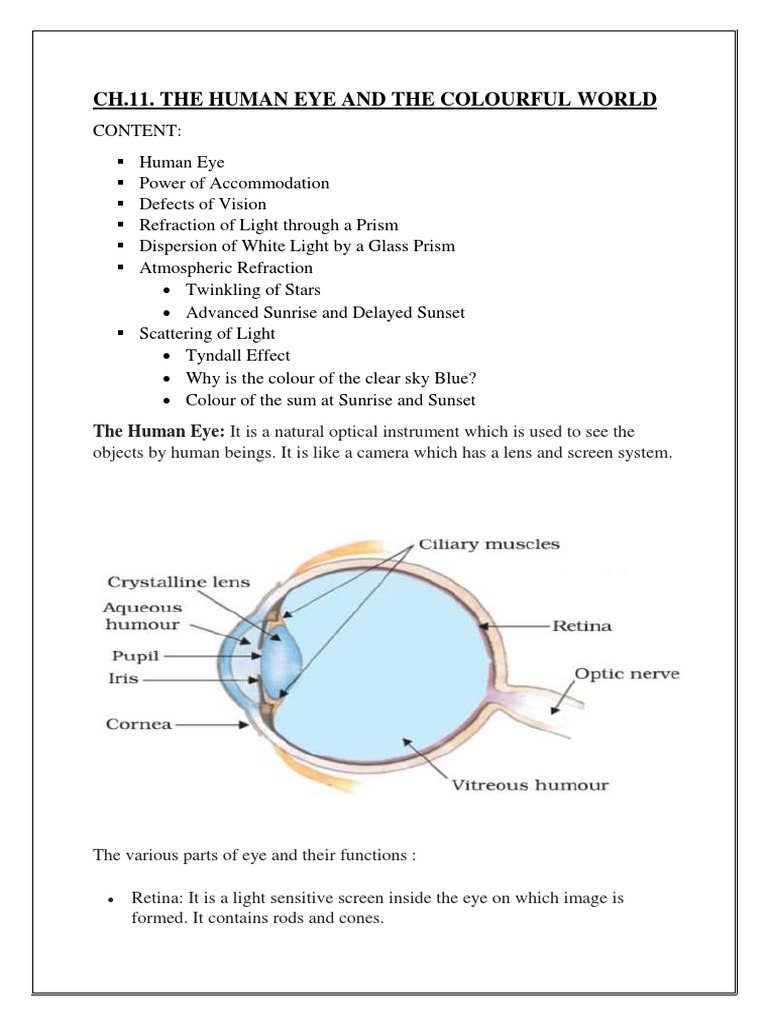 Ch.11. The Human Eye and The Colourful World: The Human Eye: It Is A ...