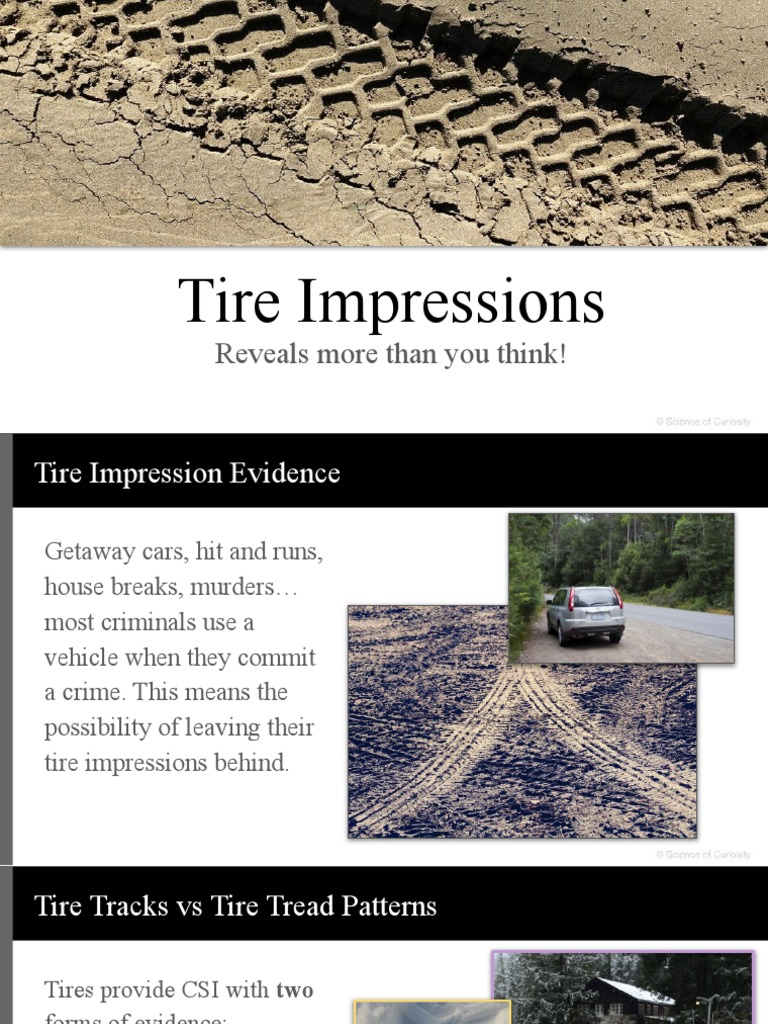 Tire Impressions: Reveals More Than You Think! | PDF | Tire | Length