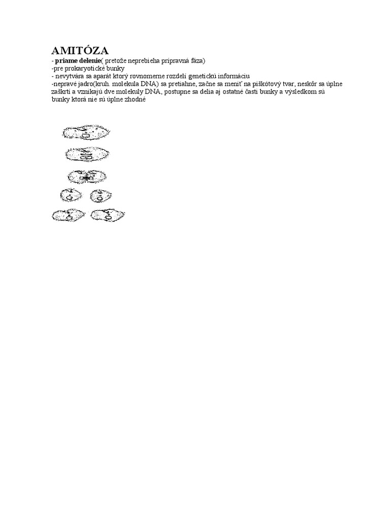 AMITÓZA, MITóZA, MEIóZA | PDF