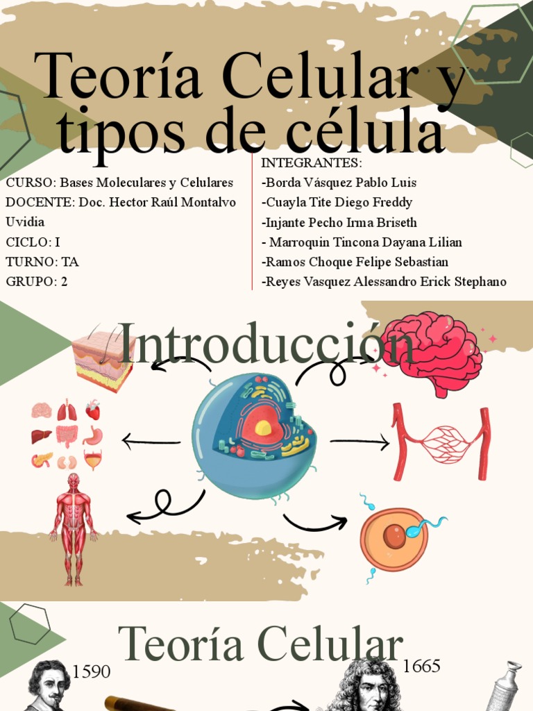 Teoría Celular y Tipos de Célula | PDF | Biología Celular) | Eucariotas