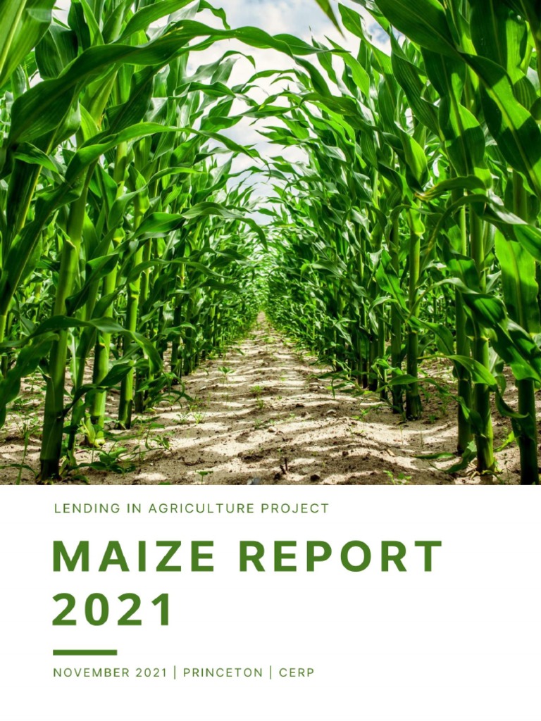 Maize Report 2021 - Final Version | PDF | Agriculture | Prices