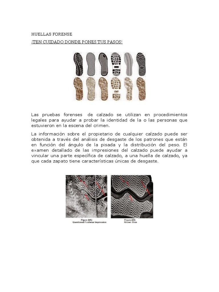 TIPOS DE HUELLAS | PDF
