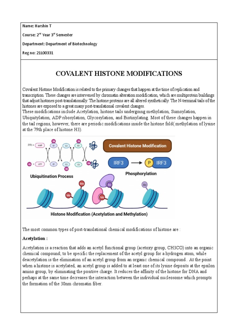 Histone Modification | Download Free PDF | Histone | Ubiquitin